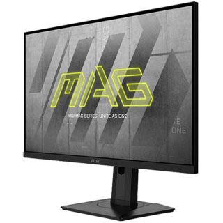 MSI PRO MP251P and MSI PRO MP251 EyesErgo business monitors go official