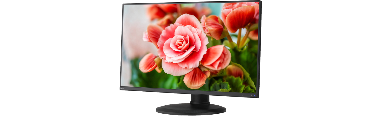 The NEC MultiSync E273F is launched, priced at USD 329