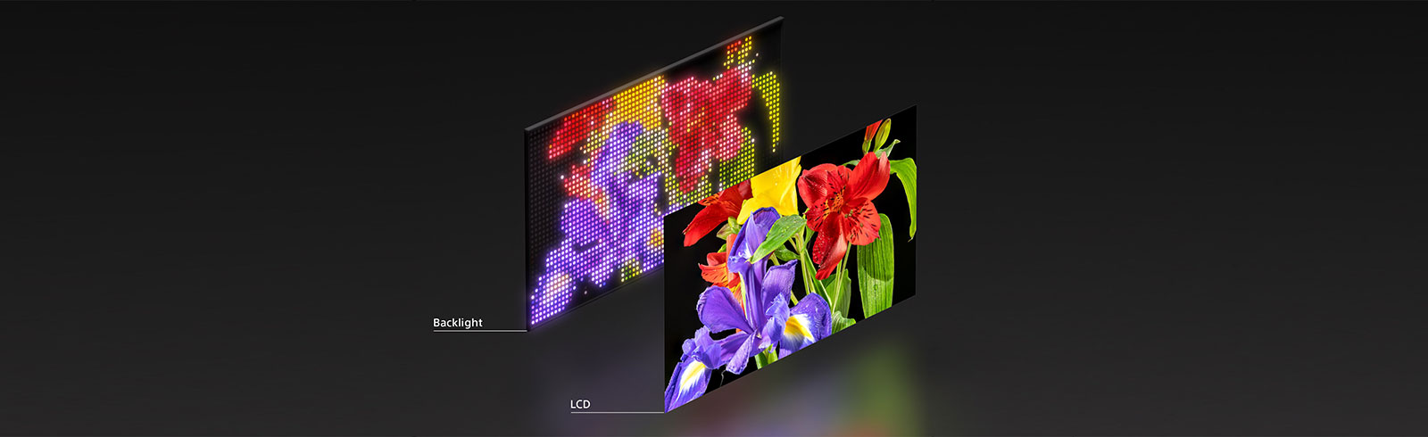 Sony develops next-gen display system with an independent drive RGB LED